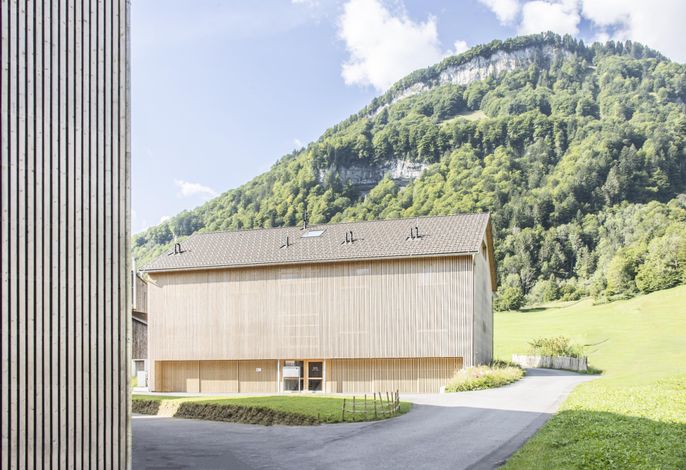 Wasserfall Apartments in Mellau, Vorarlberg, Oostenrijk